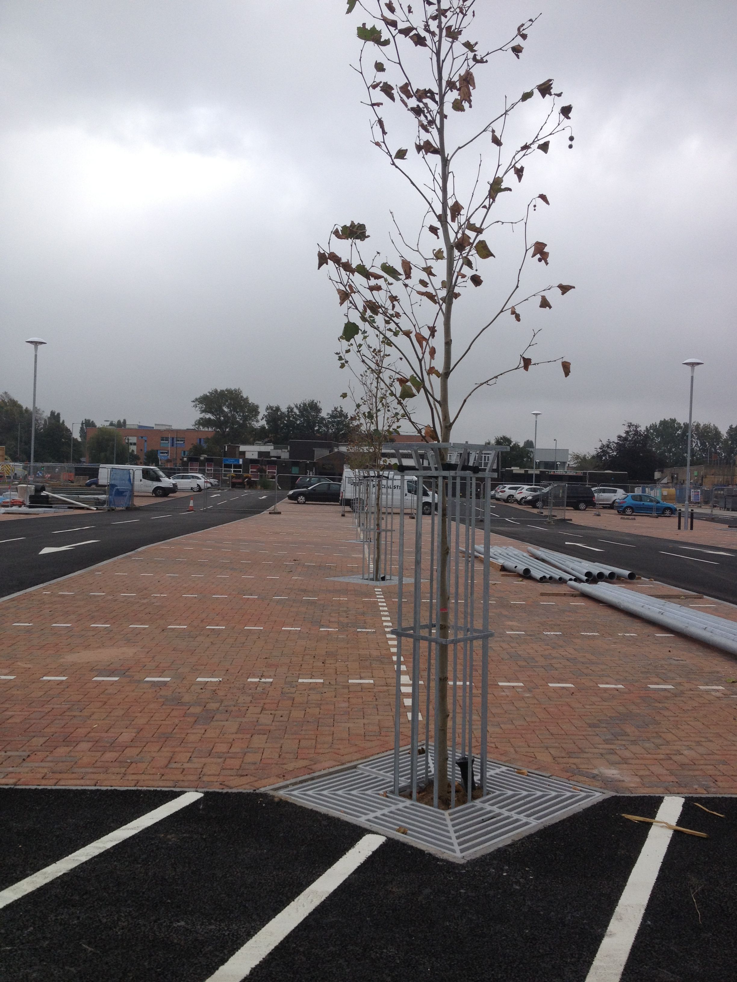 The Overlooked Benefits of Tree Grilles | Green-tech Specifier | ESI ...