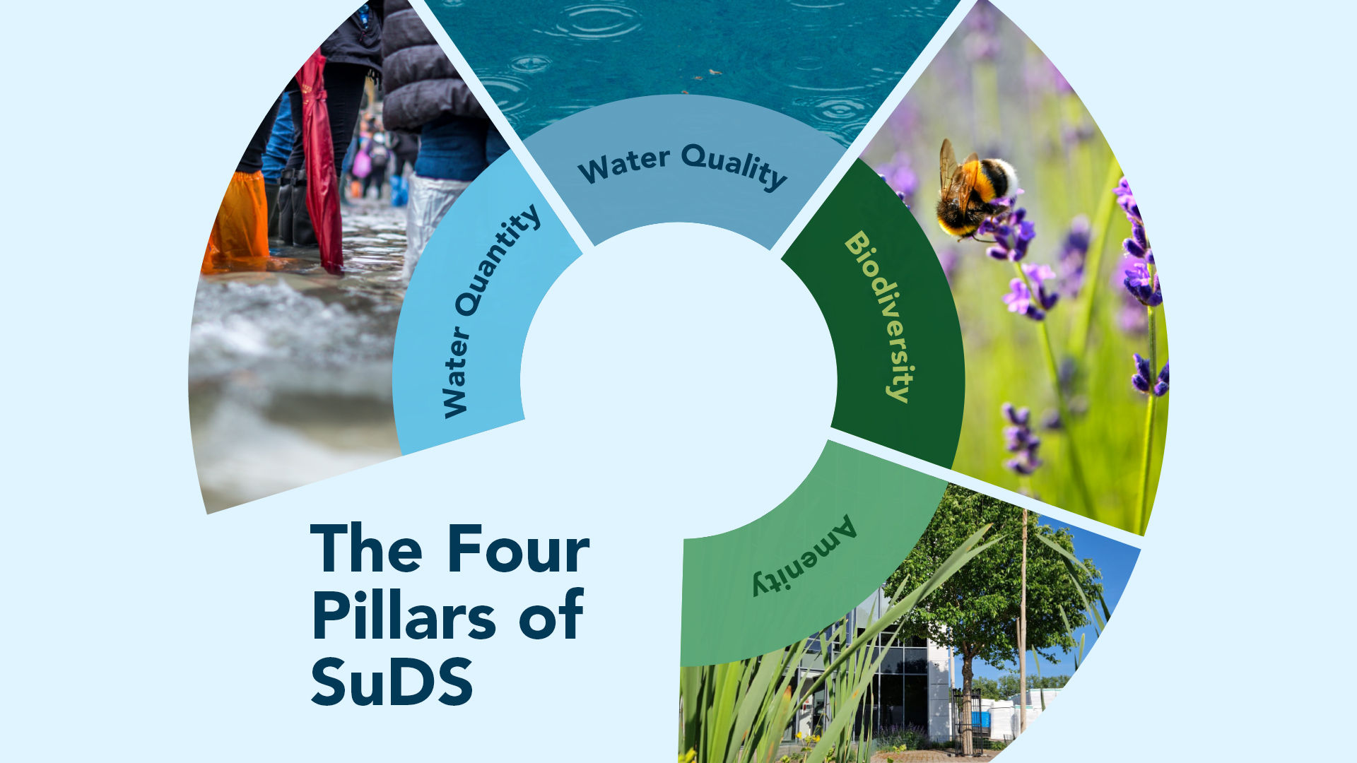 Harmony in the concrete jungle: the principles of SuDS | GreenBlue ...