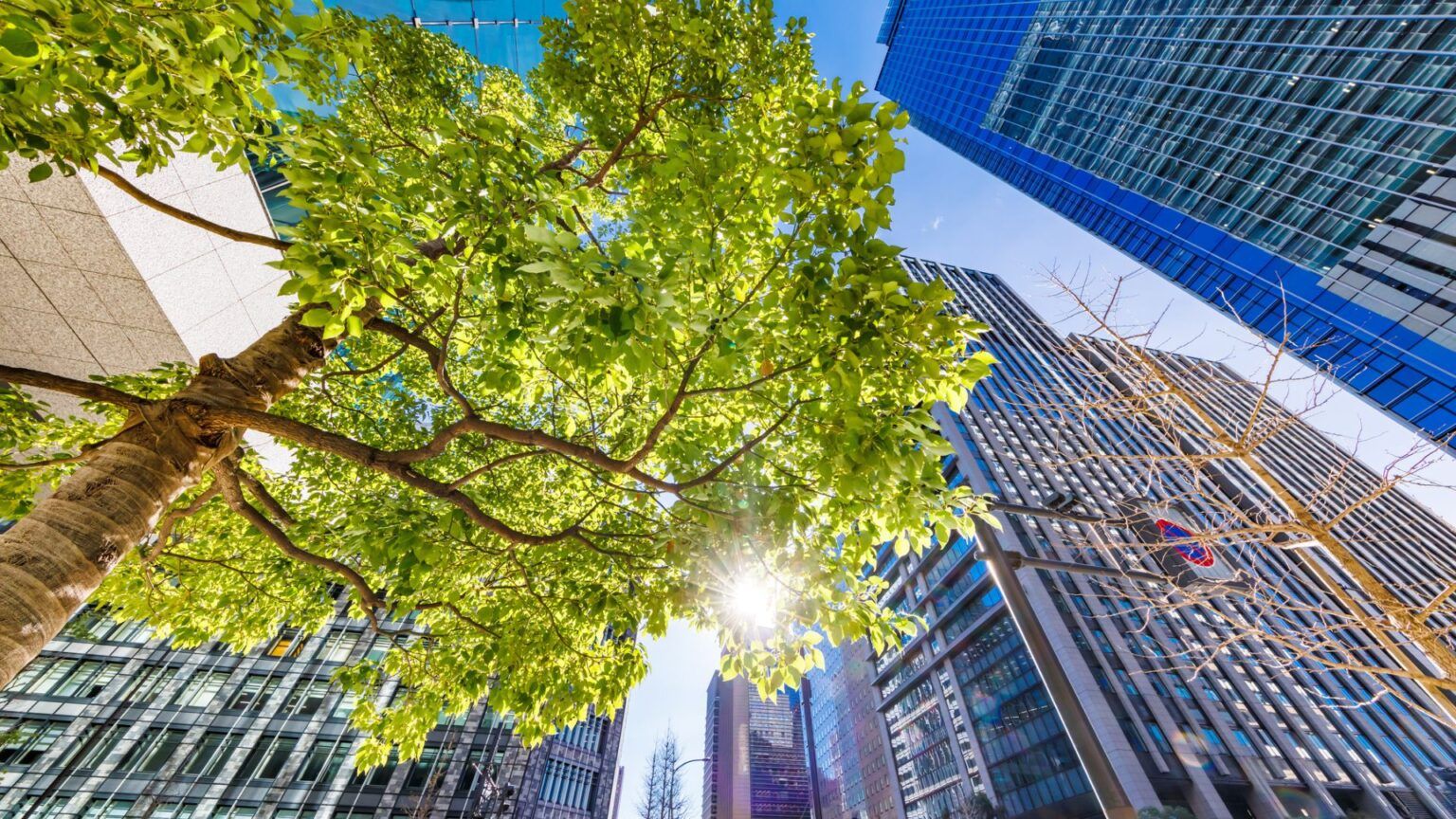 Unveiling Sustainability: GreenBlue Urban’s RootSpace LCA | GreenBlue ...