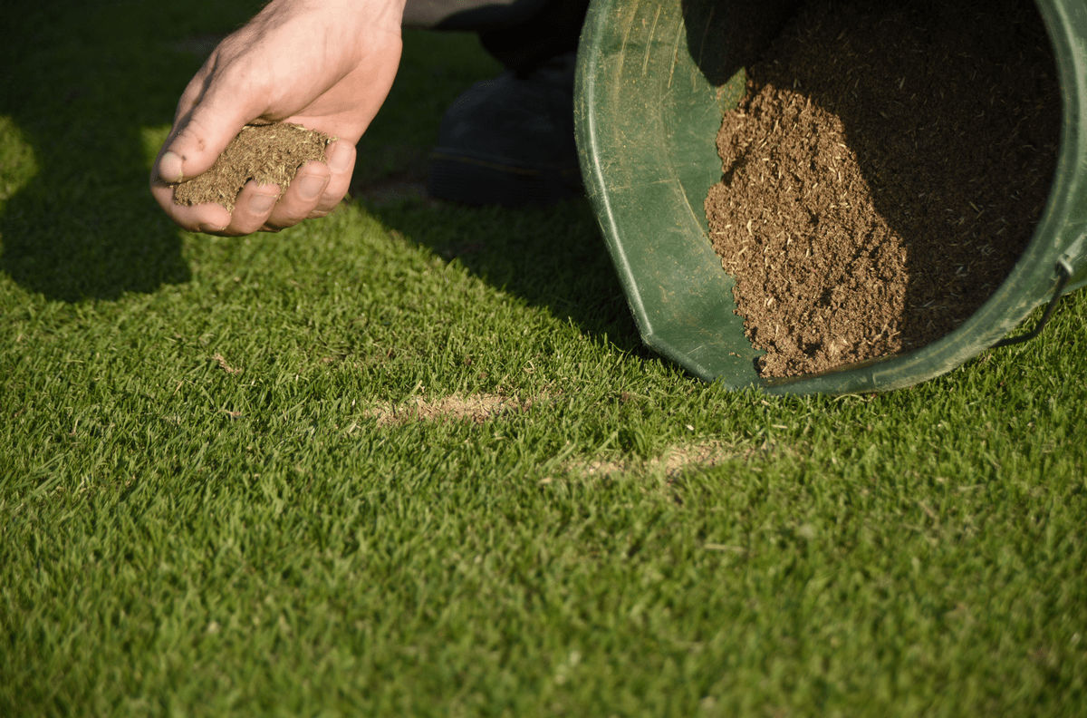 Football pitch maintenance guide | Germinal Amenity