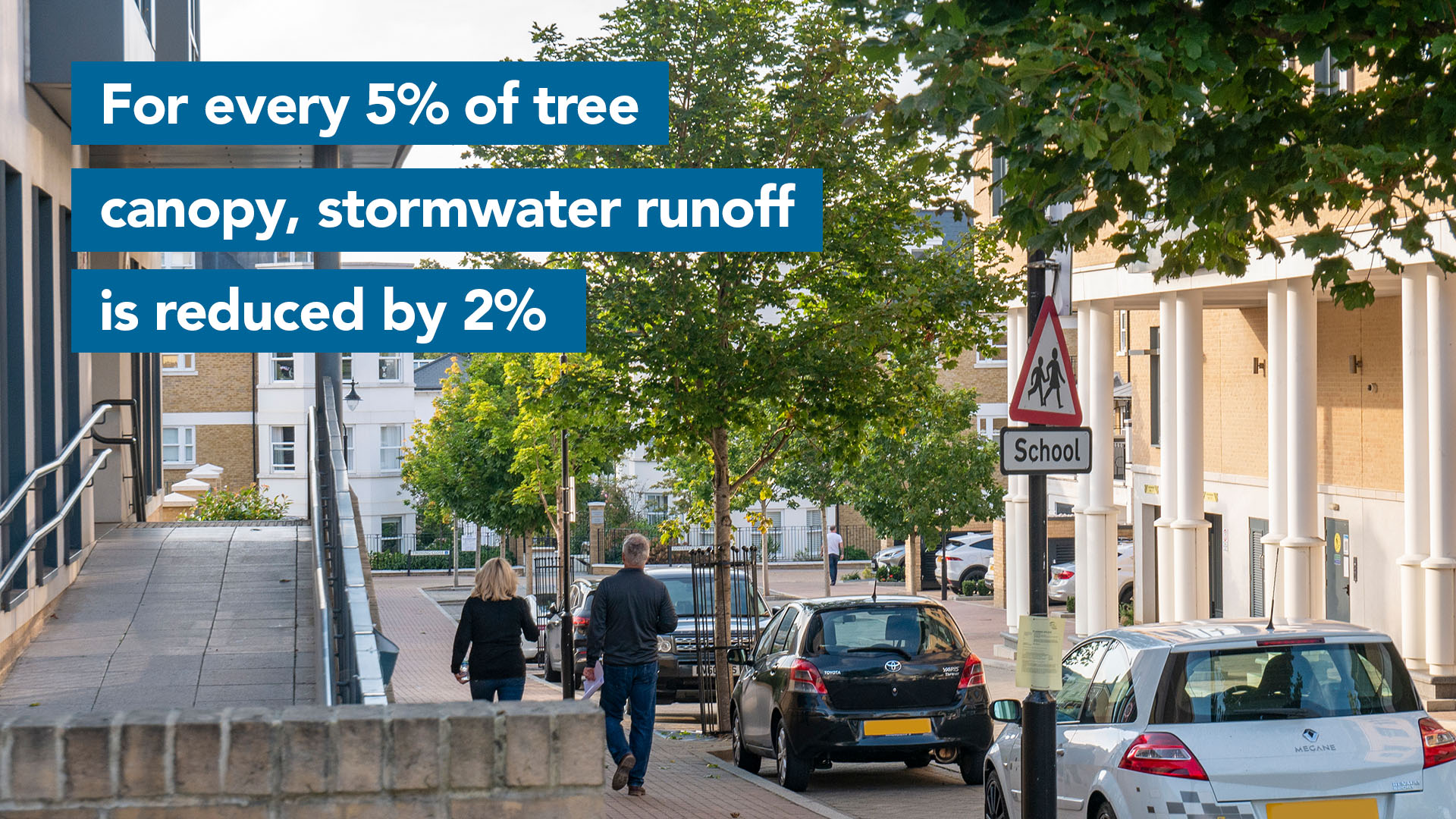 Checklist For Developers: Planning And Installing (SUDS) | GreenBlue ...