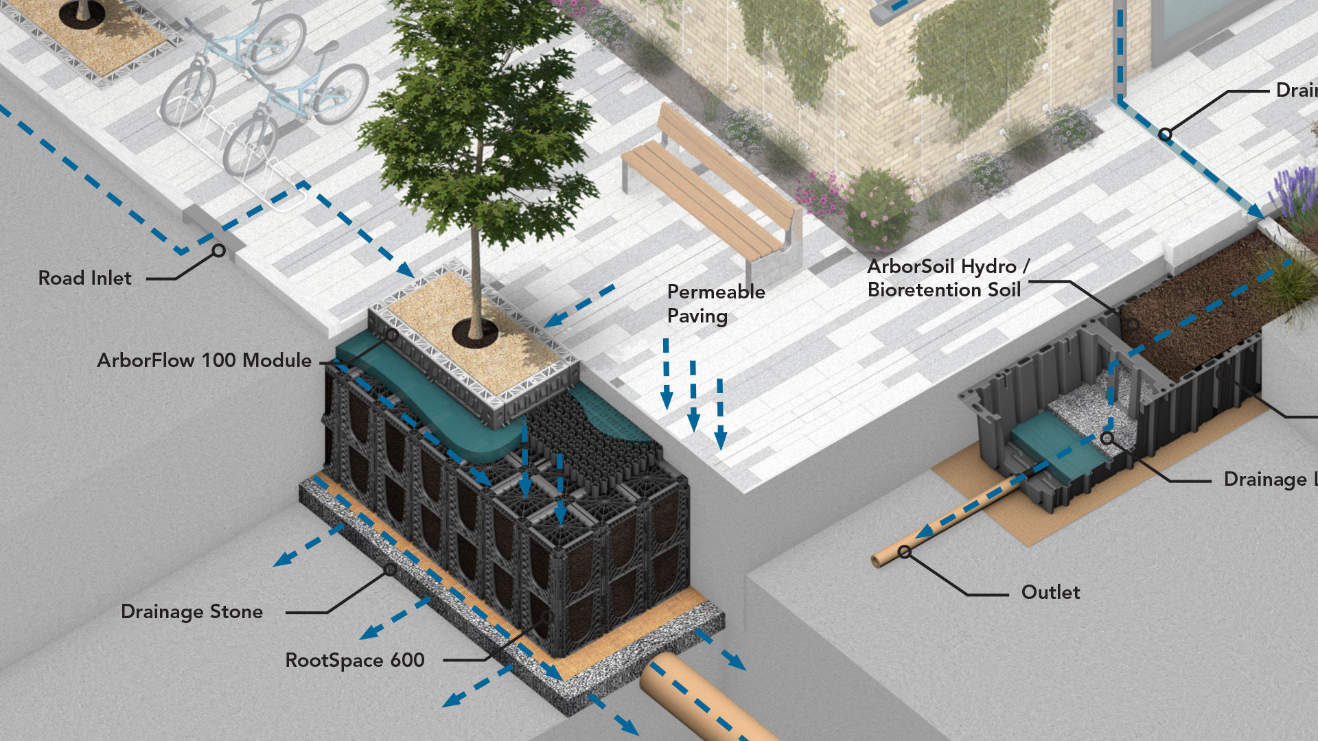 MicroSuDS Solutions for Biodiversity Net Gain | GreenBlue Urban Ltd