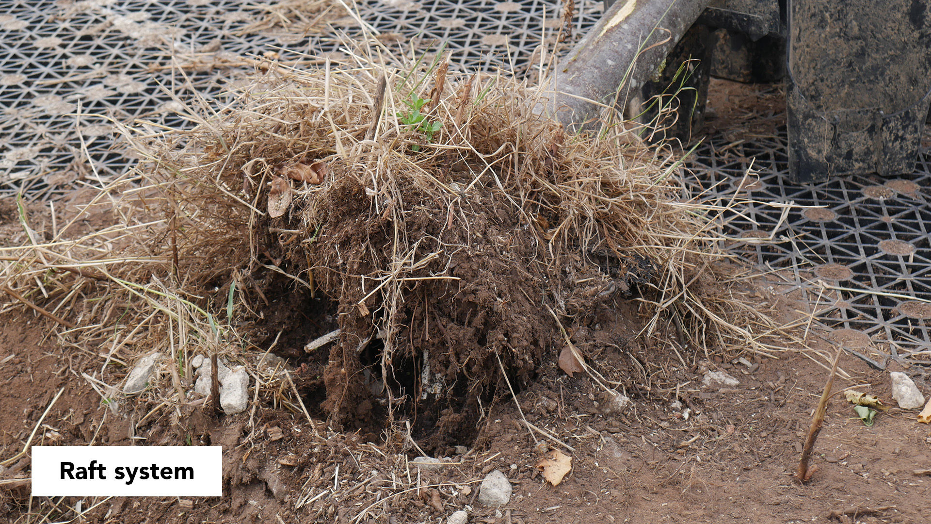 Comparing Tree Planting Media: A Comprehensive Overview | GreenBlue ...