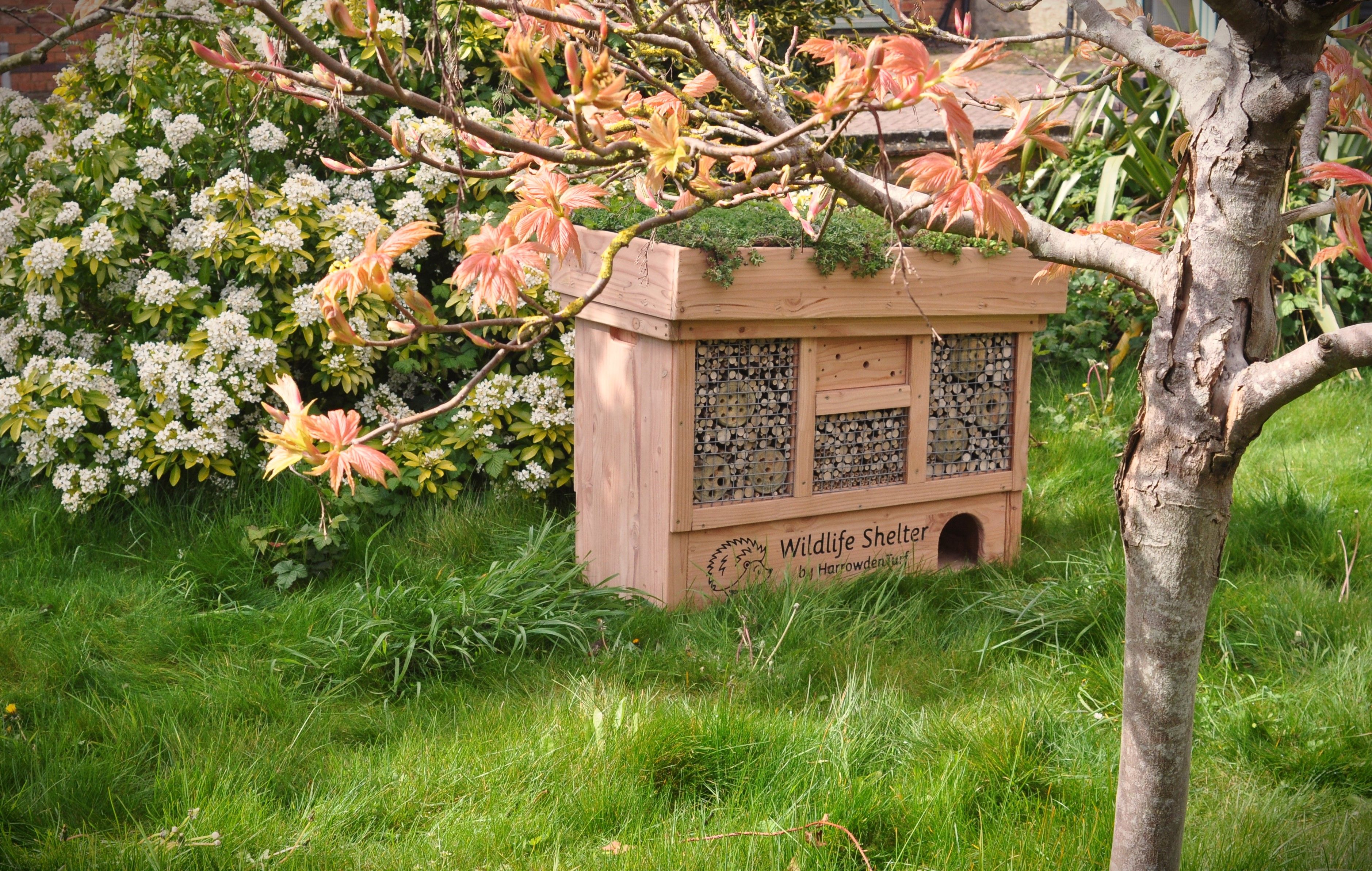 Bughouses - a simple BNG solution | Harrowden