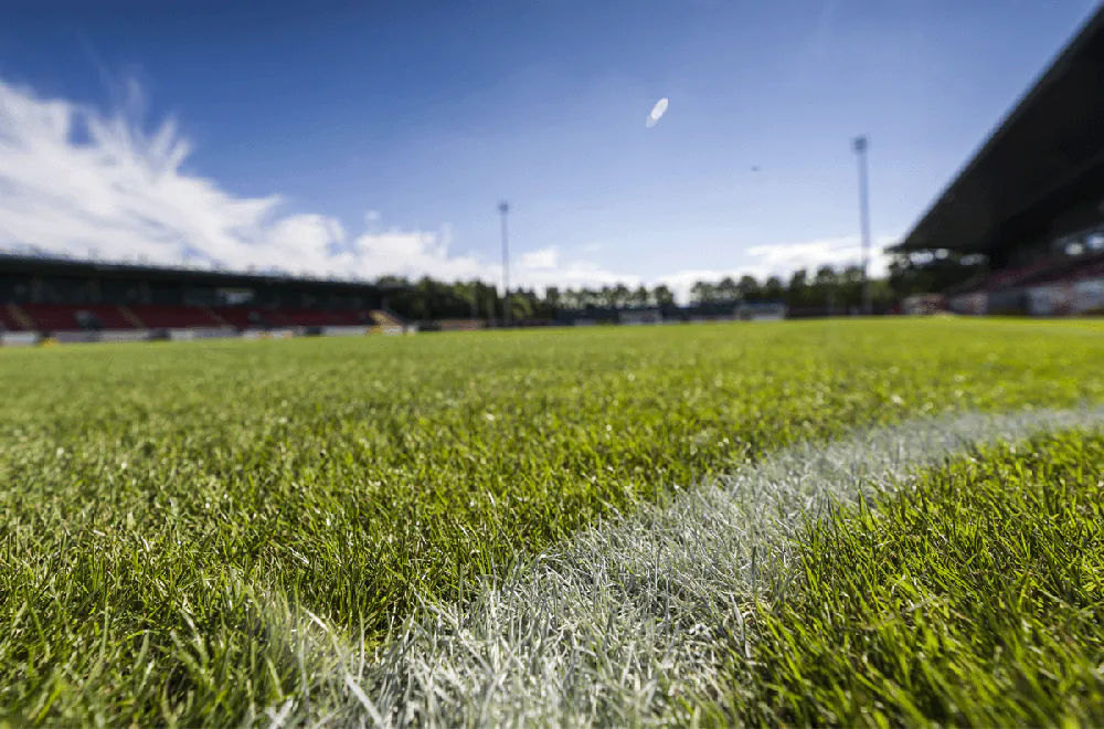 Sustainability in sports: greening the grounds | Germinal Amenity