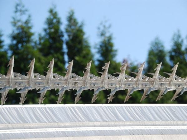 Fence security toppings, when and why do you need them? | Jacksons Fencing