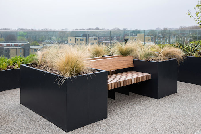 Planters as biodiversity hotspots: maximising rooftop terraces | Raaft®