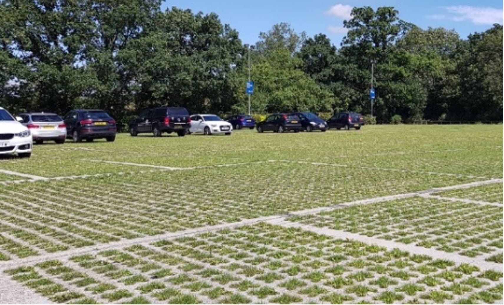 Grasscrete® permeable concrete paver system v block paving | Grass Concrete