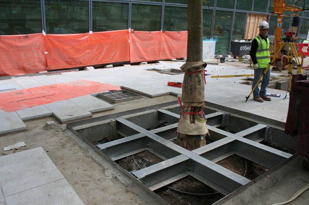 The benefits of tree pits | Howe Green