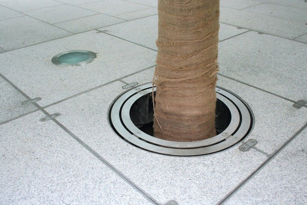 The benefits of tree pits | Howe Green