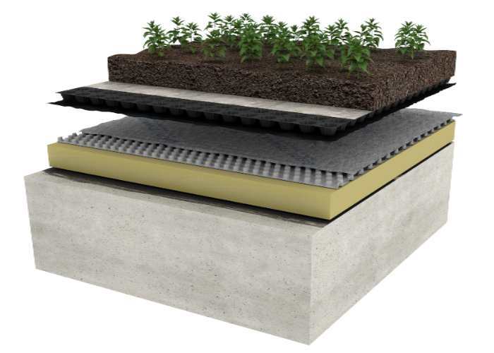 The benefits of root barrier protection in green roofs | Delta Membrane ...