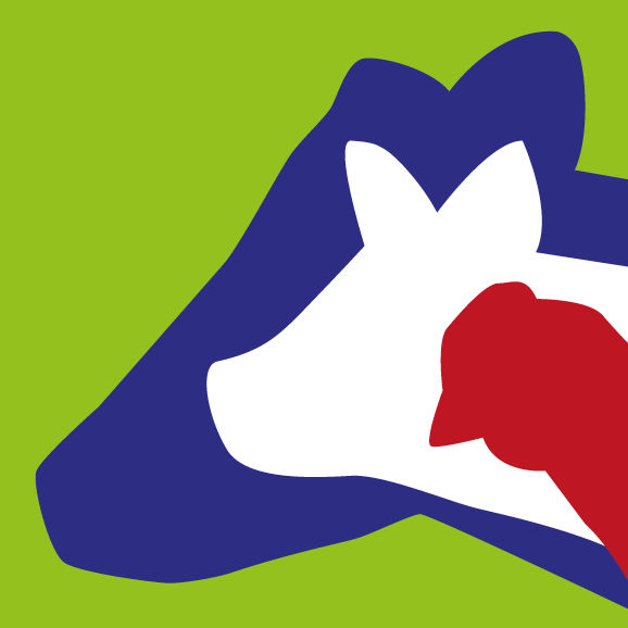 Trade Fairs - ExpoBeds