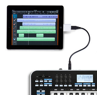 Graphite 25 | Samson