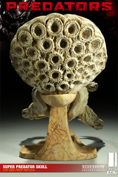 Super Predator Skull Prop Replica by Sideshow Collectibles - POW! The ...