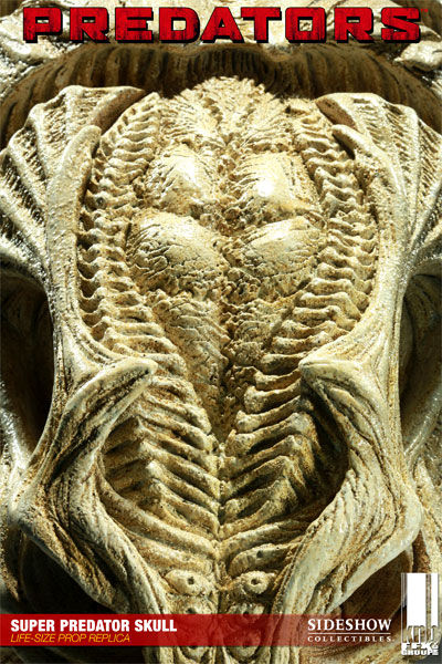 Super Predator Skull Prop Replica by Sideshow Collectibles - POW! The ...