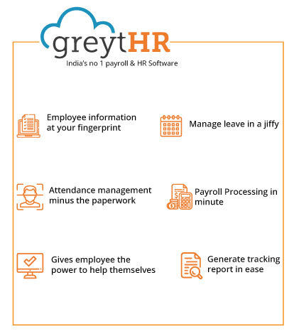 Empowering Businesses with User-Friendly Software Solutions - Arrows Business Solution