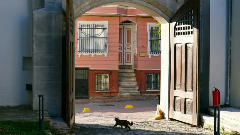 Is Istanbul Safe? A Tourist's Guide to Safety and Security