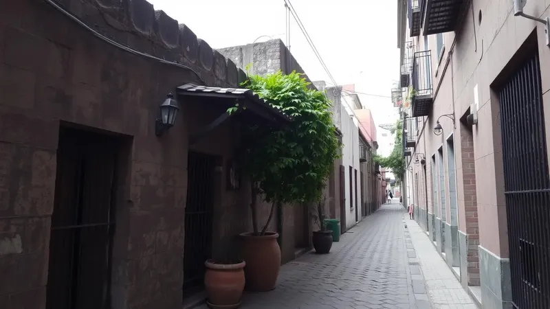 10 calles más hermosas en Guadalajara