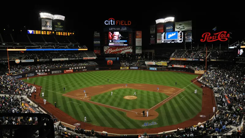 First time at Citi Field: rules and information