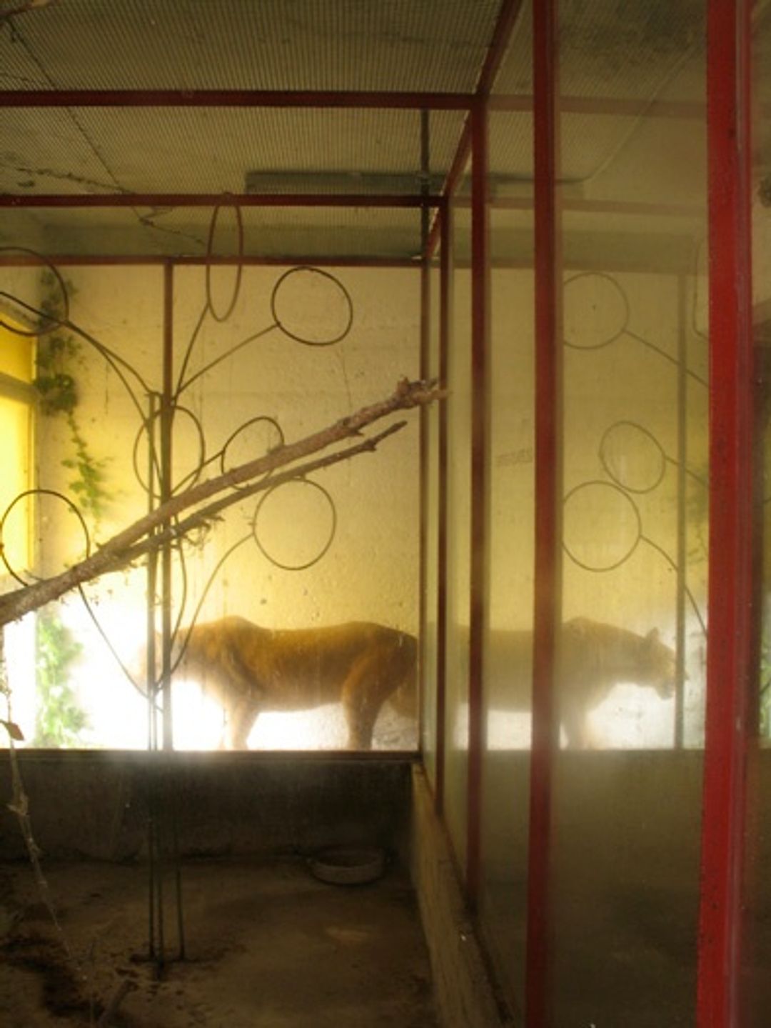 Barbara Visser – Luna Park