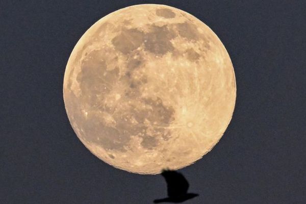 How to Witness the Spectacular Worm Moon Lunar Eclipse