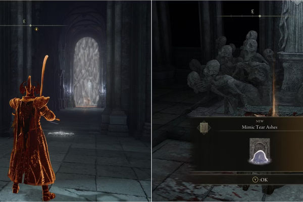 Elden Ring Secrets: Unveiling the Coveted Mimic Tear Ashes