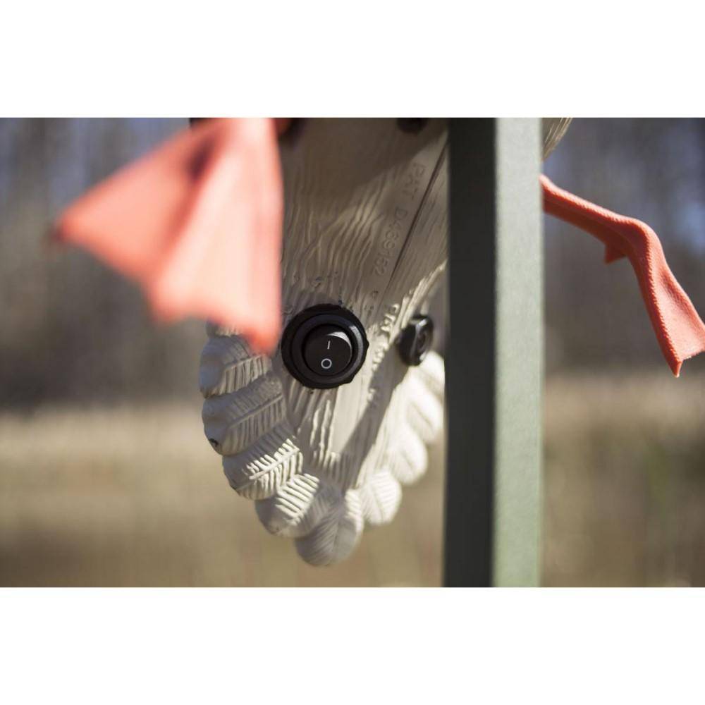 Mojo Baby Ballard Spinning Wing Decoy Drake - Feather Arms