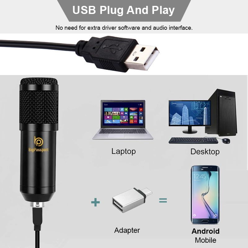 BigPassport Cardioid Microphone with Boom Arm (Pro-Sound_M800B) | HSN ...