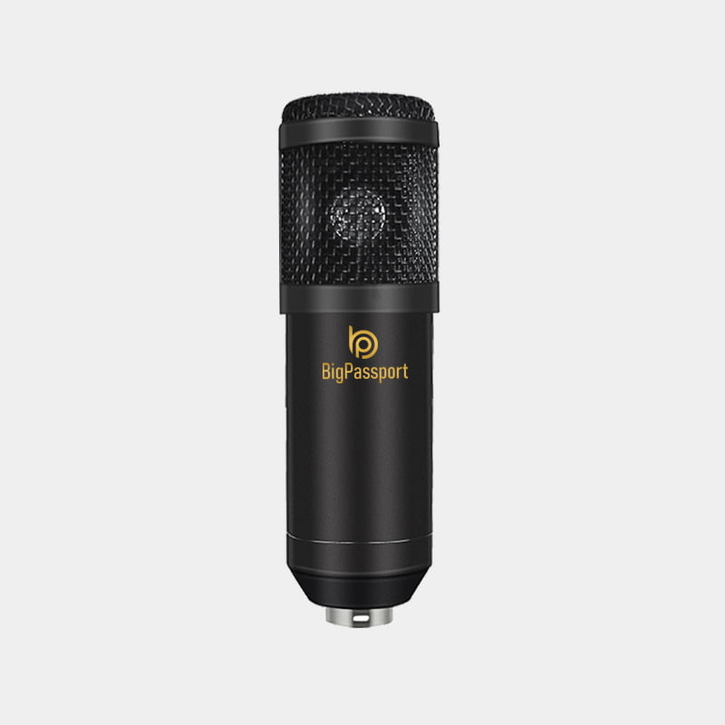 BigPassport Cardioid Microphone with Boom Arm (Pro-Sound_M800B) | HSN ...