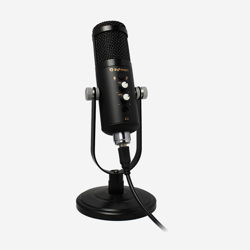 BigPassport Condenser Microphone (Model-Pro-Sound_MU07) | HSN ...