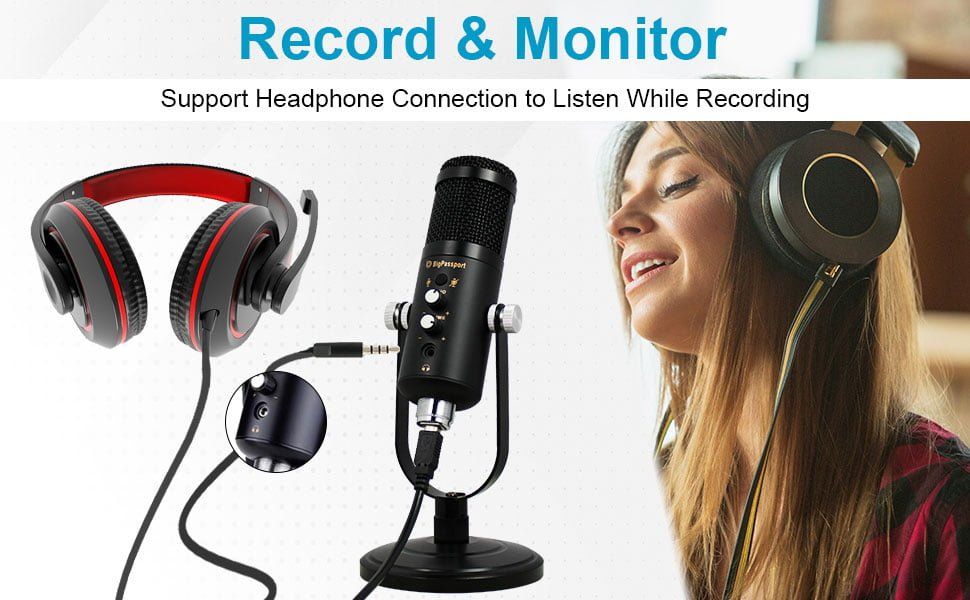 BigPassport Condenser Microphone (Model-Pro-Sound_MU07) | HSN ...