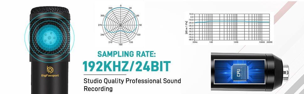 BigPassport Cardioid Microphone with Boom Arm (Pro-Sound_M800B) | HSN ...