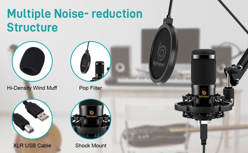 BigPassport Cardioid Microphone with Boom Arm (Pro-Sound_M800B) | HSN ...