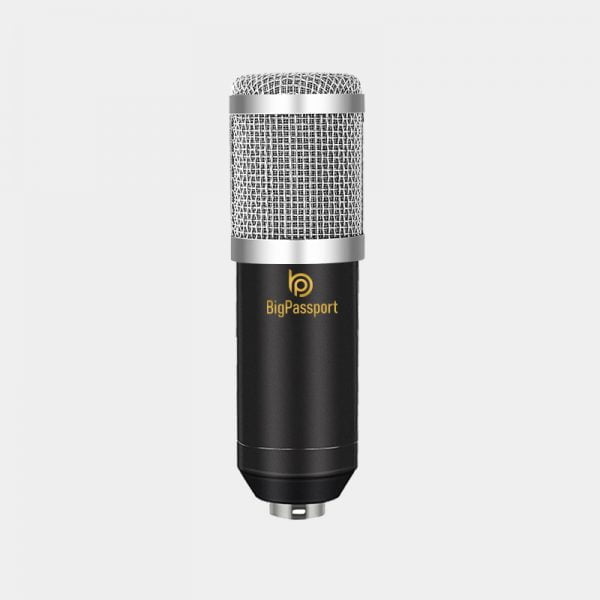 BigPassport Cardioid Microphone with Boom Arm (Pro-Sound_M800B) | HSN ...