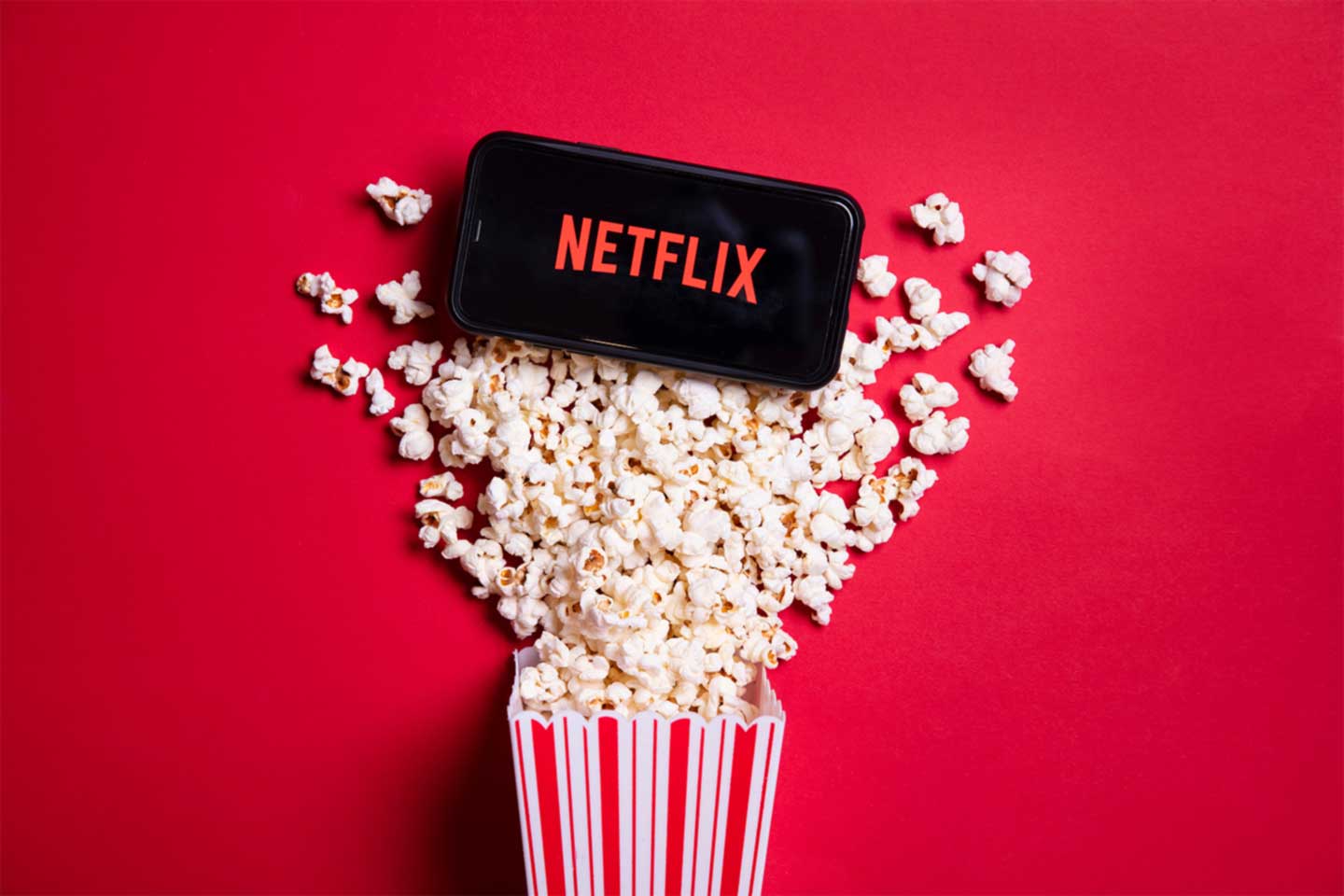 U.S. Stock Market 101: Introduction to Netflix’s Business | fiisual Blog