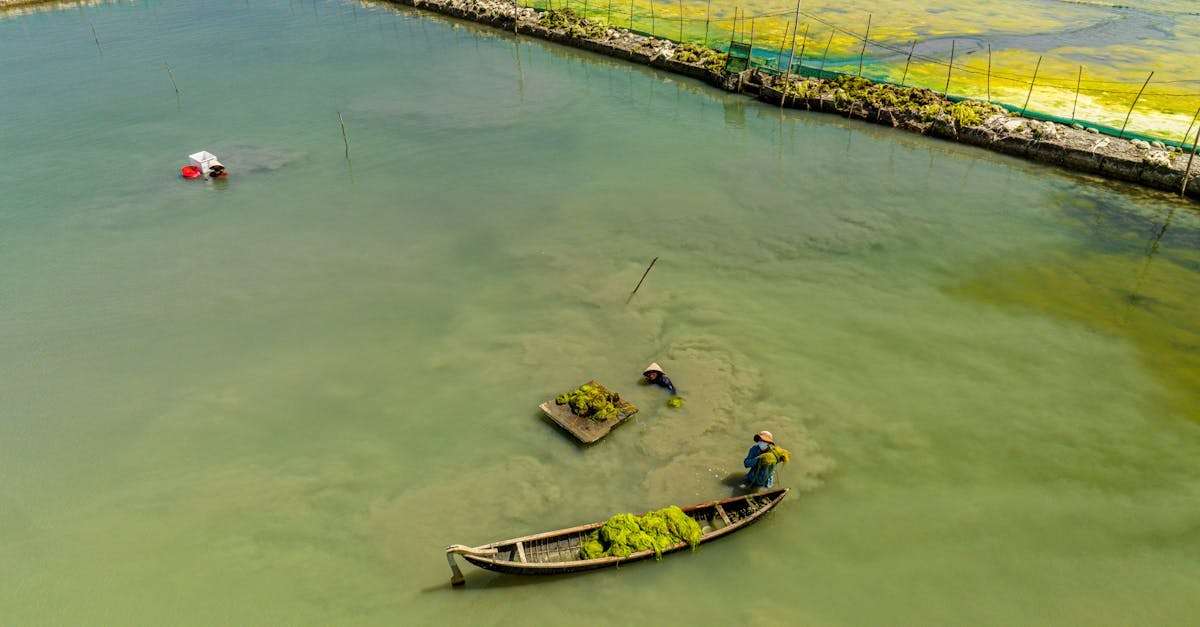 Sustainable Practices in Seafood Farming: Reducing Environmental Impact