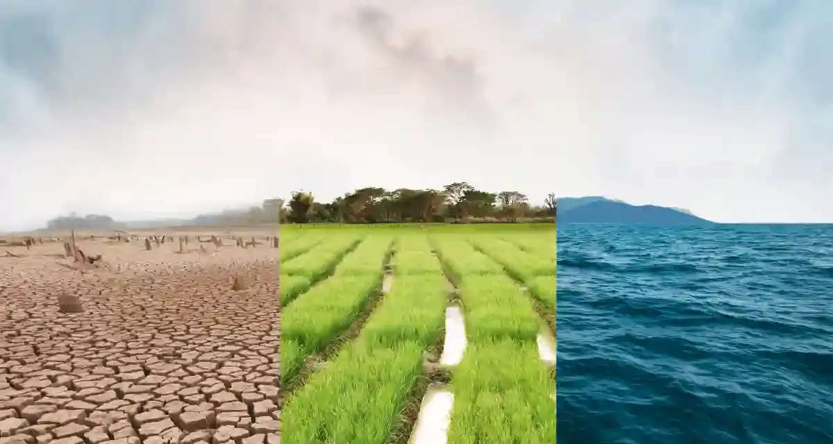 Climate Change and Its Impact on Livestock Farming: Adaptation ...