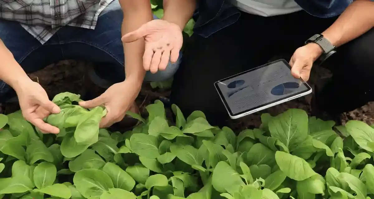 Precision Farming: Revolutionizing Agriculture with Data-Driven Techniques