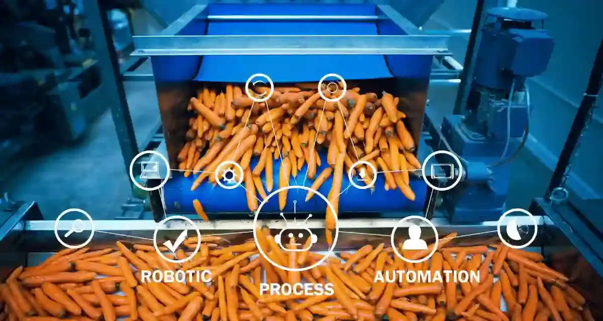 Robots at the Front Line: Automating Primary Processing in Food Factories