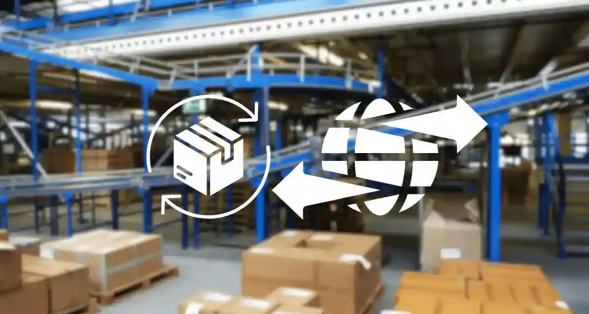 Smart Warehouse Automation Guide for Food Exporters