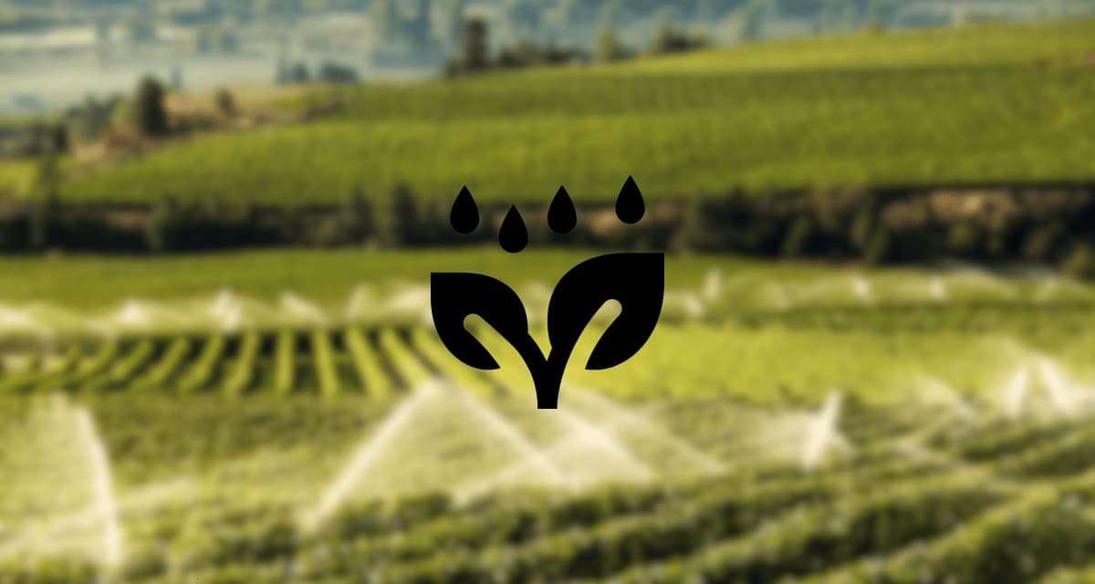 Water Harvesting Techniques for Resilient Farms - Food & Beverages ...