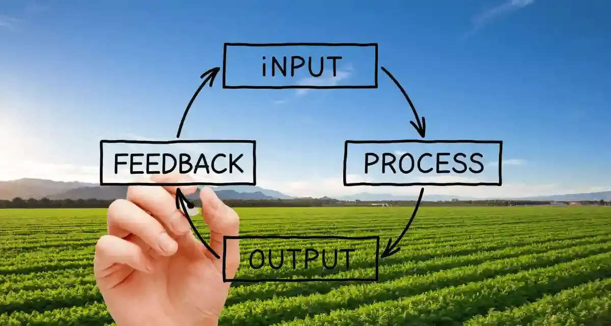 Low-Input Farming: Maximizing Output While Minimizing External Inputs