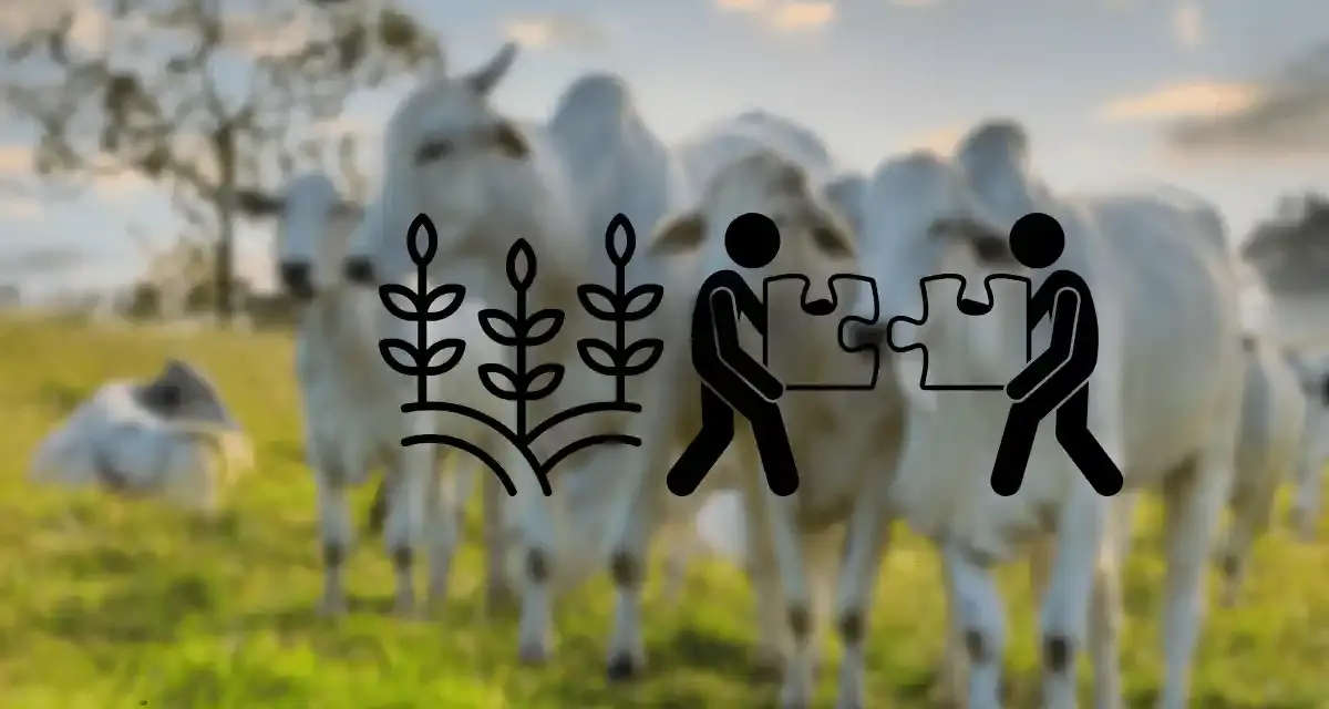 Pasture Cropping: Combining Grains and Grazing for Year-Round Land Use