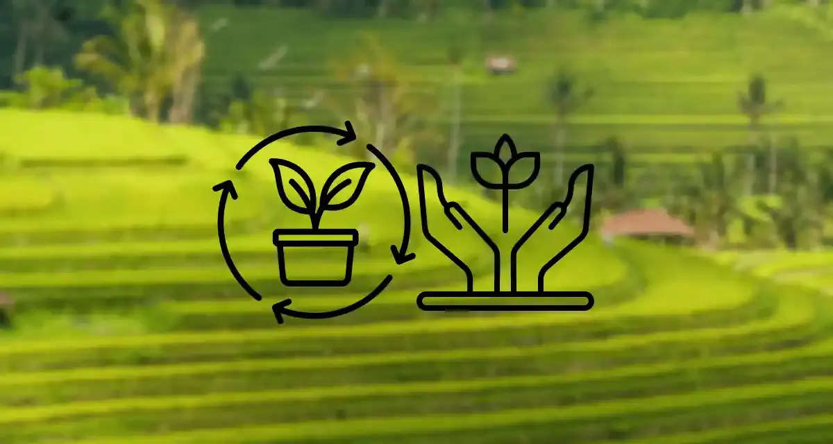 Terrace Farming for Erosion Control: Cultivating on Slopes Sustainably