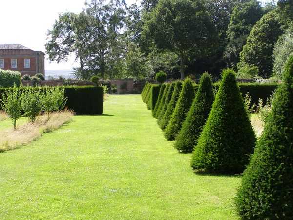 Garden Hedge Ideas #6605 | House Decoration Ideas