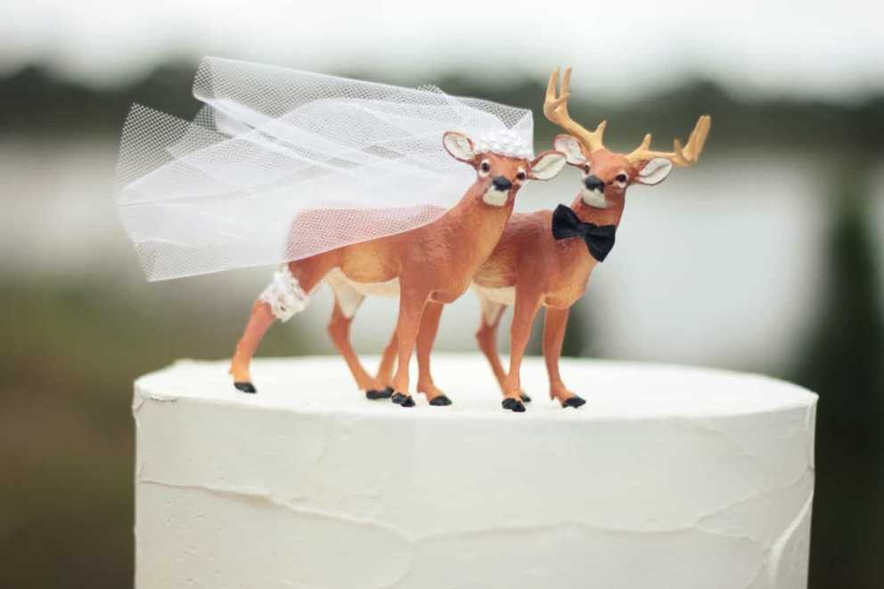 Wedding: 10 Wedding Cake Topper Ideas (#3 of 10 Photos)