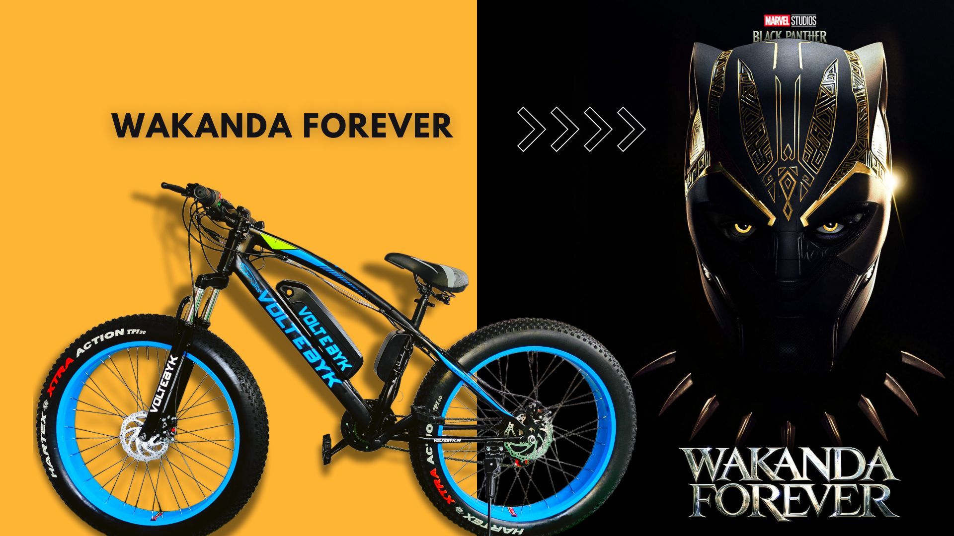 VOLT E BYK Electric Cycle Gallery: See Our Happy Customers!