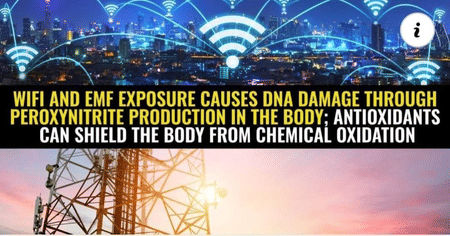 EMF, WIFI, 5G, Microwaves, Radiation damages DNA & depletes glutathione ...