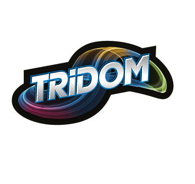 Tridom | Indoor Entertainment for Kids | Kids Play Area in RAK