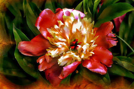 intensity, by the artist Lieberman | Gallea